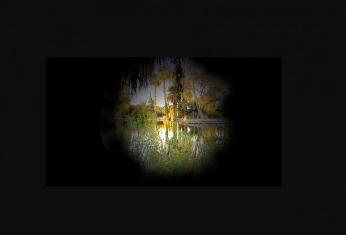 ¿Qué es la “visión en túnel” – Blog Saludalavista